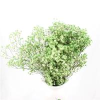 China Home Decorations Beautiful Dried Flowers Gypsophila Long Term Storage for sale