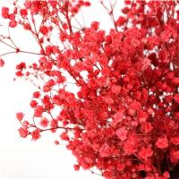 China Home Decorations Beautiful Dried Flowers Gypsophila Long Term Storage for sale