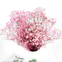 China Non Toxic Harmless Preserved Baby Breath Flowers For Ins Valentine Gift for sale