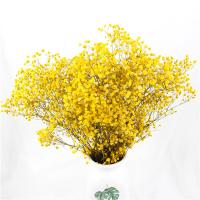China Non Toxic Harmless Preserved Baby Breath Flowers For Ins Valentine Gift for sale