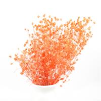 China Non Toxic Harmless Preserved Baby Breath Flowers For Ins Valentine Gift for sale