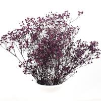 China Non Toxic Harmless Preserved Baby Breath Flowers For Ins Valentine Gift for sale