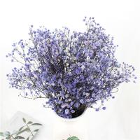 China Soft Color Preserved Dried Baby's Breath Beautiful For New Year Valentine Gift for sale