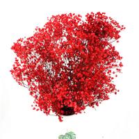 China Soft Color Preserved Dried Baby's Breath Beautiful For New Year Valentine Gift for sale