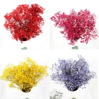 China Ins Wedding Decorations Beautiful Dried Flowers Customized Color Modern Style for sale