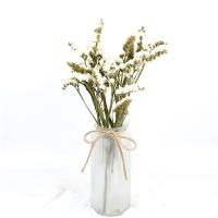 China Statice Limonium Beautiful Dried Flowers Beautiful With Long Using Time for sale