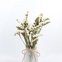 China Statice Limonium Beautiful Dried Flowers Beautiful With Long Using Time for sale