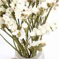 China Statice Limonium Beautiful Dried Flowers Beautiful With Long Using Time for sale