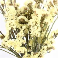 China Statice Limonium Beautiful Dried Flowers Beautiful With Long Using Time for sale
