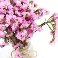China Fashion Style Beautiful Dried Flowers Statice Limonium Forget Me Not for sale
