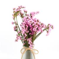 China Fashion Style Beautiful Dried Flowers Statice Limonium Forget Me Not for sale