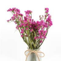 China Fashion Style Beautiful Dried Flowers Statice Limonium Forget Me Not for sale