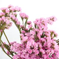China Fashion Style Beautiful Dried Flowers Statice Limonium Forget Me Not for sale