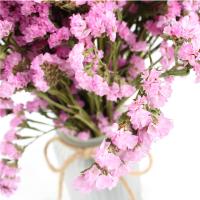 China Forget Me Not Limonium Statice Flower , Everlasting Preserved Fresh Flower for sale