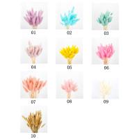 China Real Touch Beautiful Dried Flowers Rabbit Tail Grass Preserved Lagurus Ovatus for sale