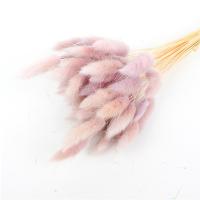China Real Touch Beautiful Dried Flowers Rabbit Tail Grass Preserved Lagurus Ovatus for sale