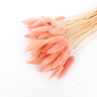 China Home Decoration Beautiful Dried Flowers Rabbit Tail Grass Custom Color for sale