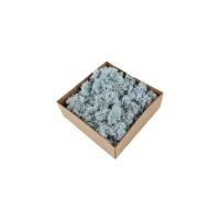 China Decorative Real Natural Preserved Natural Moss Green Environmental Protection for sale