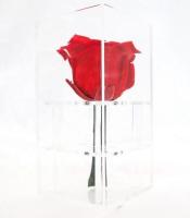 China Wedding / Party Decoration Preserved Rose Flower With Long Stem for sale