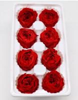 China Long Life Preserved Rose Flower Fantastic For Crafting Holiday Ornaments for sale