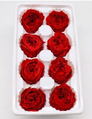 China Long Life Preserved Rose Flower Fantastic For Crafting Holiday Ornaments for sale