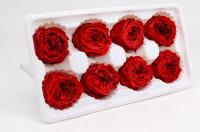China Long Lasting Preserved Austin Flower Rose Eternal For Wedding Decoration for sale
