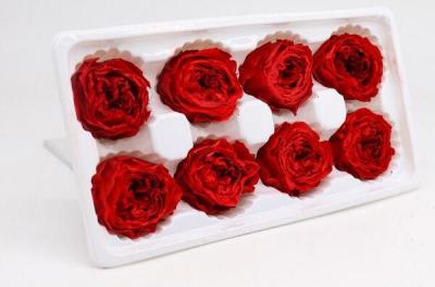 China Long Lasting Preserved Austin Flower Rose Eternal For Wedding Decoration for sale