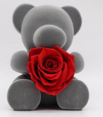 China Home Decoration Preserved Rose Gift Box With Bear For Birthday / Parties for sale