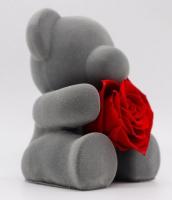 China Sweetheart Eternal Rose Bear Never Wilting Flowers Representing Long Lasting Love for sale