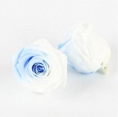 China 4-5cm Preserved Rose Heads Gorgeous Flower Color Easy Matching Other Colors for sale