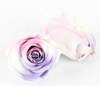China Amazing Appearance Preserved Rose Heads A Grade Fresh Rose Material for sale