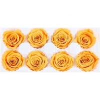 China Decorative Preserved Flower Heads , Beautiful Rose Flower Heads Multiple Color for sale