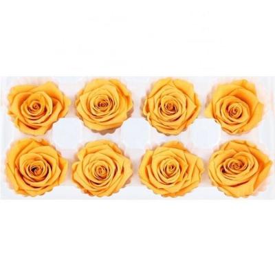 China Decorative Preserved Flower Heads , Beautiful Rose Flower Heads Multiple Color for sale