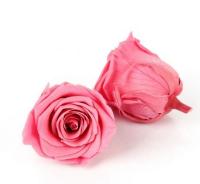 China Decorative Preserved Rose Heads Pretty Appearance Keeping Everlasting Memory for sale