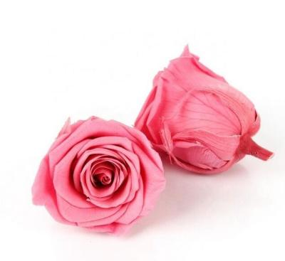 China Decorative Preserved Rose Heads Pretty Appearance Keeping Everlasting Memory for sale