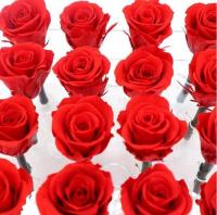 China Red Real Forever Rose , Real Flowers That Last Forever For Wedding Decoration for sale