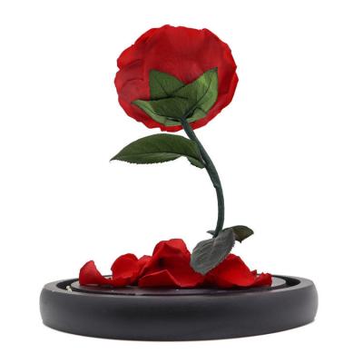 China Customized Color Preserved Rose Glass Dome Beauty And The Beast for sale