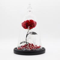 China Dried Beauty And The Beast Red Rose In Glass Gift Suitable For Decor Purposes for sale