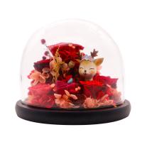 China Christmas Decoration Preserved Rose Glass Dome With Christmas Reindeer for sale