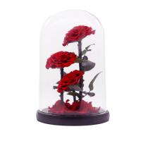 China Real Touch Eternal Preserved Rose Glass Dome For Valentines Day Gift for sale