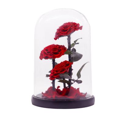 China Real Touch Eternal Preserved Rose Glass Dome For Valentines Day Gift for sale