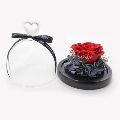 China Customized Color Preserved Rose Glass Dome Keep Looking Bright And Beautiful for sale
