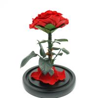 China Everlasting Preserved Rose Glass Dome Bring A Unforgettable Experience for sale