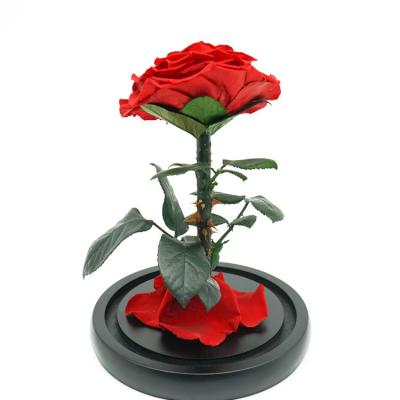 China Everlasting Preserved Rose Glass Dome Bring A Unforgettable Experience for sale