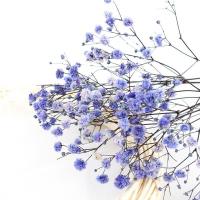 China Indoor Decoration Preserved Babys Breath For Decorating Living Room for sale