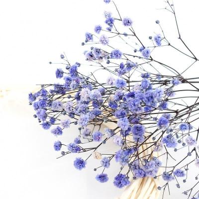 China Indoor Decoration Preserved Babys Breath For Decorating Living Room for sale