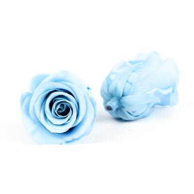 China 6pcs Long Lasting Diameter 5-6cm Preserved Flower Heads for sale