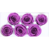 China Home Decor Artificial 5-6cm Preserved Rose Heads for sale