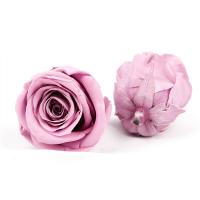China 6pcs Long Lasting Diameter 5-6cm Preserved Flower Heads for sale