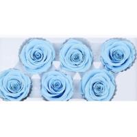 China 6 Buds/Box 5-6cm Artificial Preserved Rose Heads For Wedding for sale